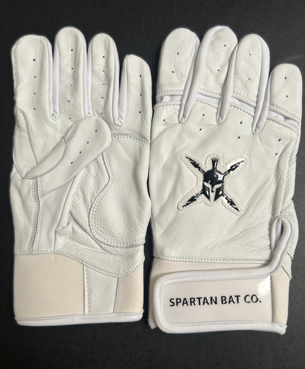 Spartan Bat Co | Premium SSUSA Senior Softball Bats